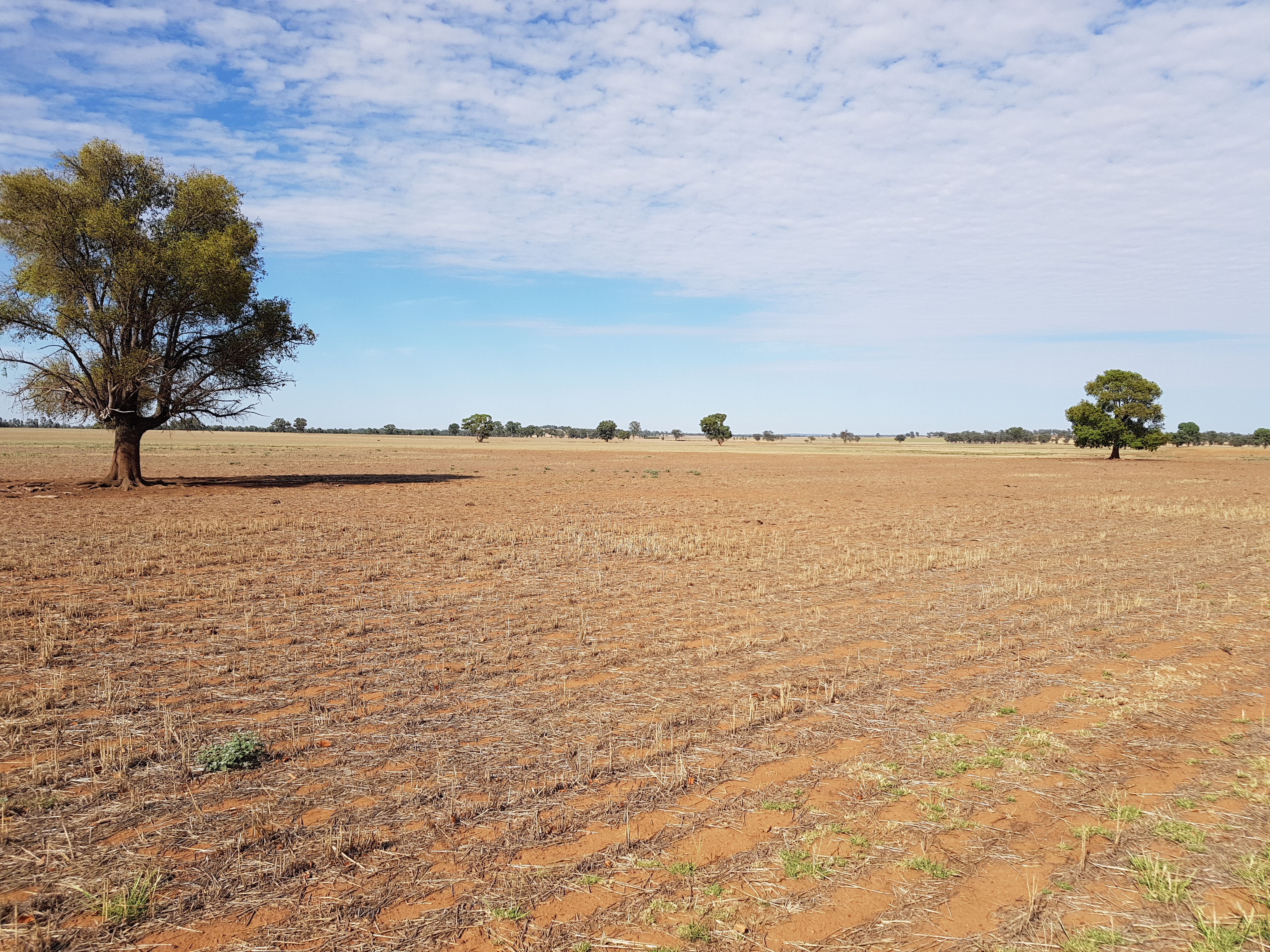 News and updates | INPEX